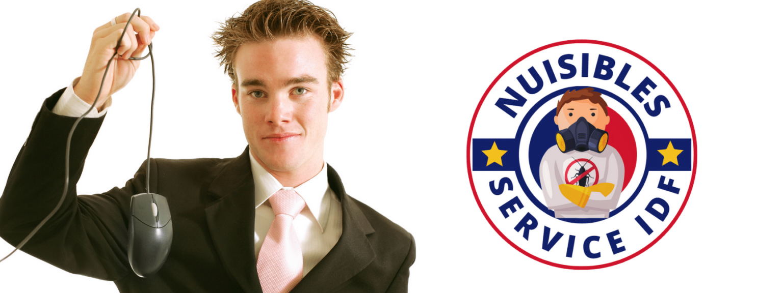 Appât pour rat : le guide ultime pour une lutte efficace contre les ...