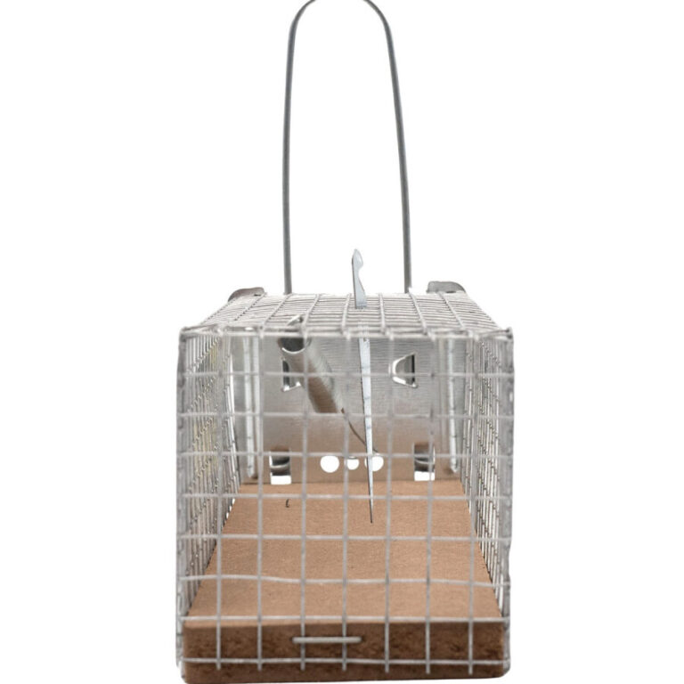 La meilleure nasse pour attraper les loirs : guide complet » Nuisibles ...