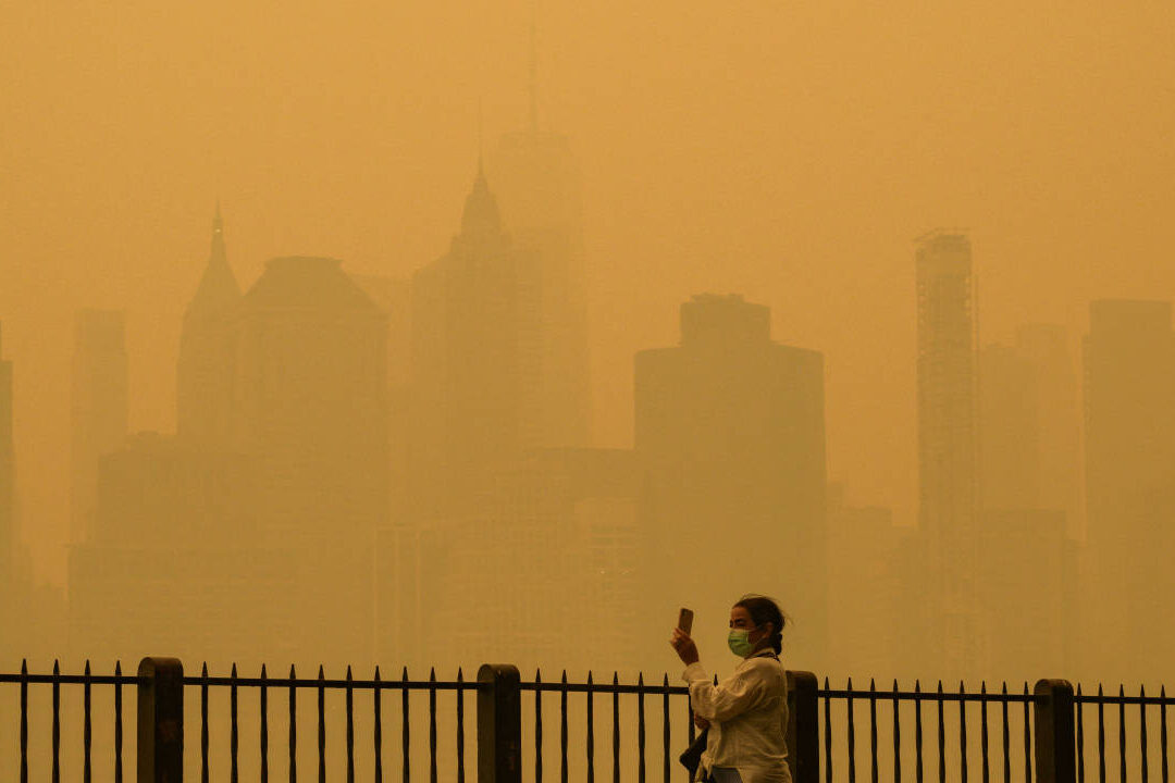 Les fruits : une menace pour la santé ? Décryptage du code de la santé ...