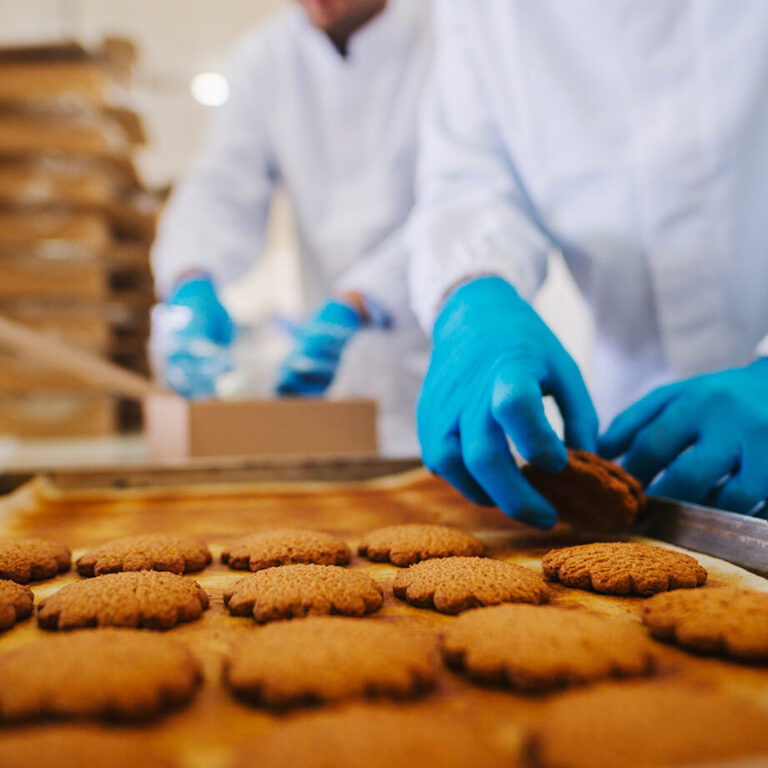 Les parasites dans un établissement alimentaire : risques d'aliments ...