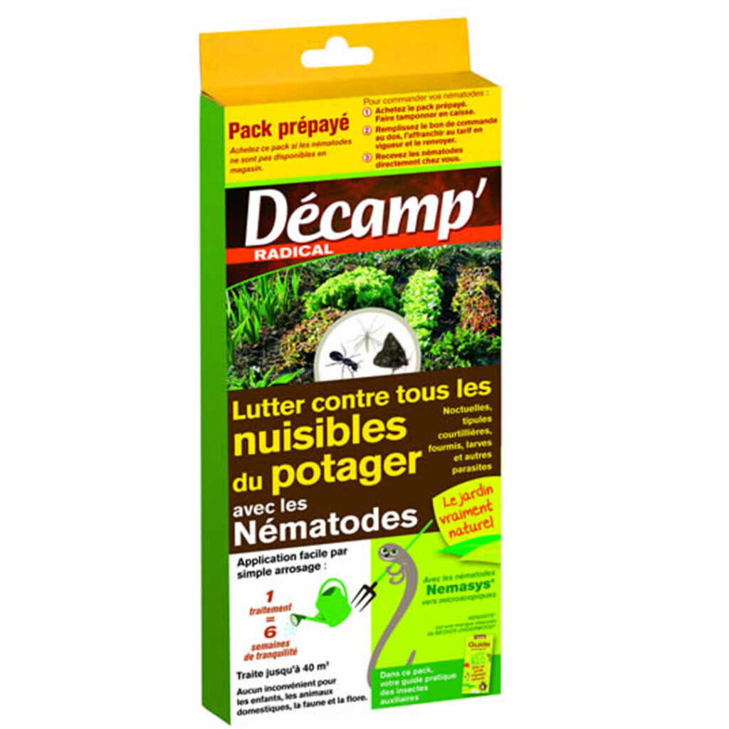 Piège à insectes : guide complet et efficace pour lutter contre les ...