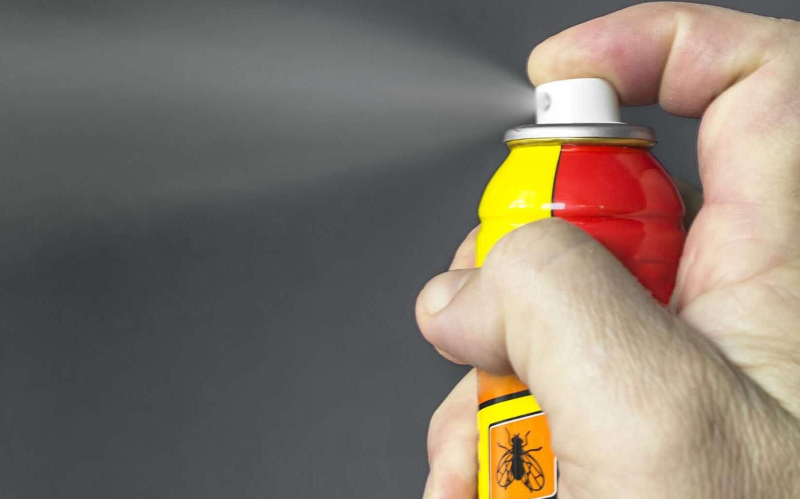 Solution anti-mousse d'abeille : pulvérisez efficacement ! » Nuisibles ...